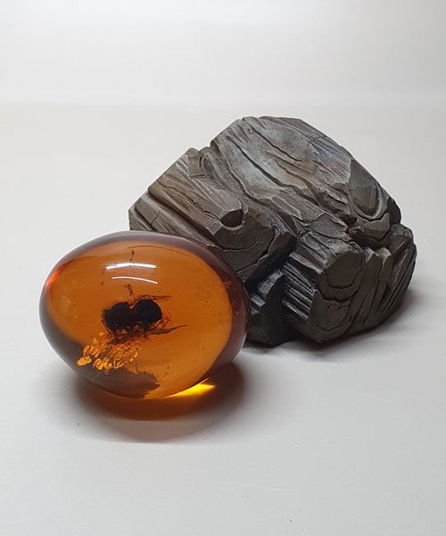 Amber on Petrified Wood – Honey bee | Folkenstal | Props and Replicas